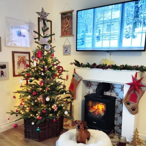 10 Traditional Christmas Tree Styles | Time for Creatives